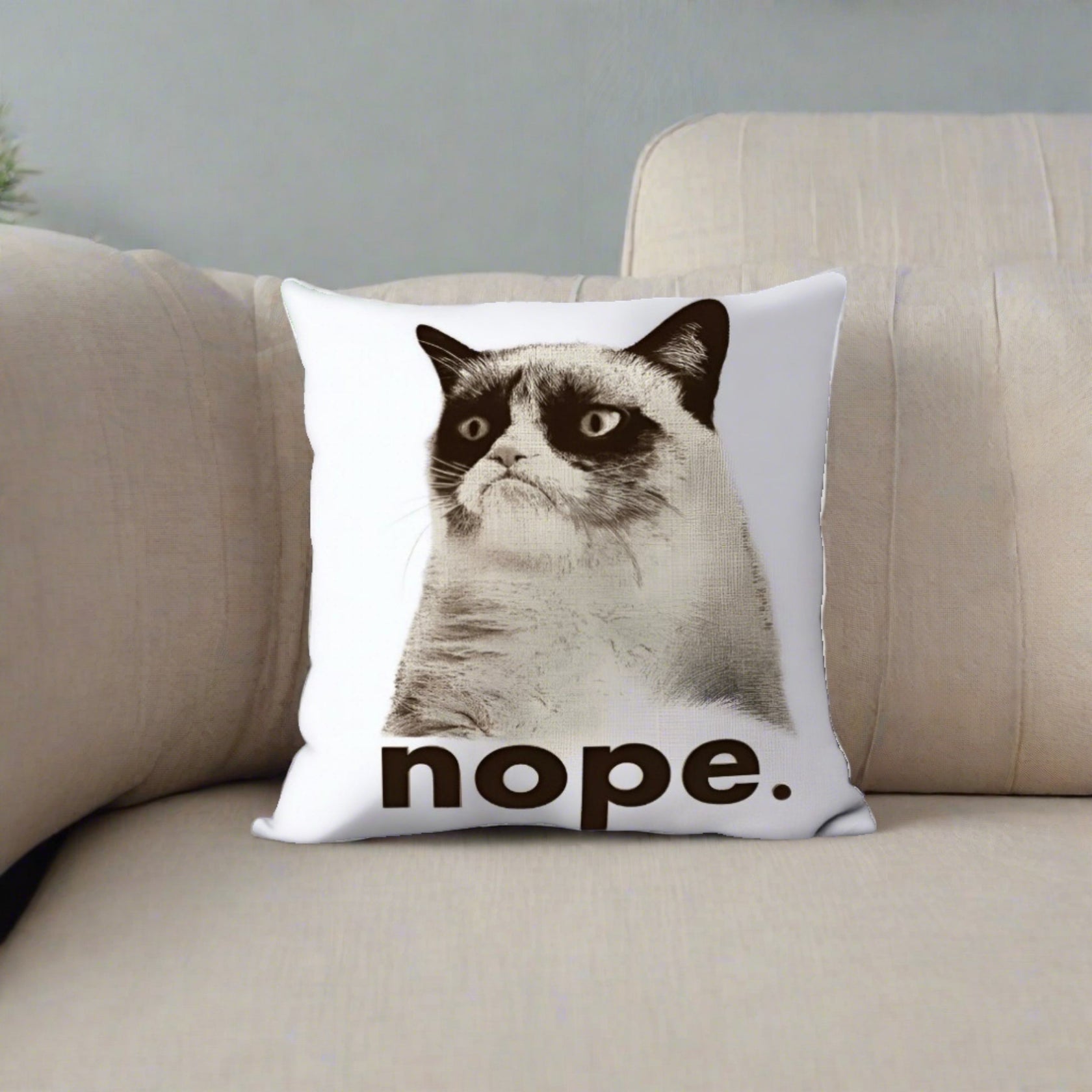 Grumpy Cat Nope Decorative Throw Pillow Cover – Eryn Home