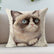 Grumpy Cat Decorative Throw Pillow Cover – Eryn Home